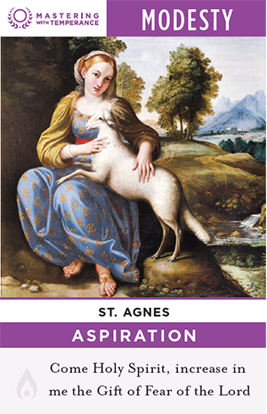 Saint Cards- 48 packs (by SAINTS: A-J) – Openlight Media Shop